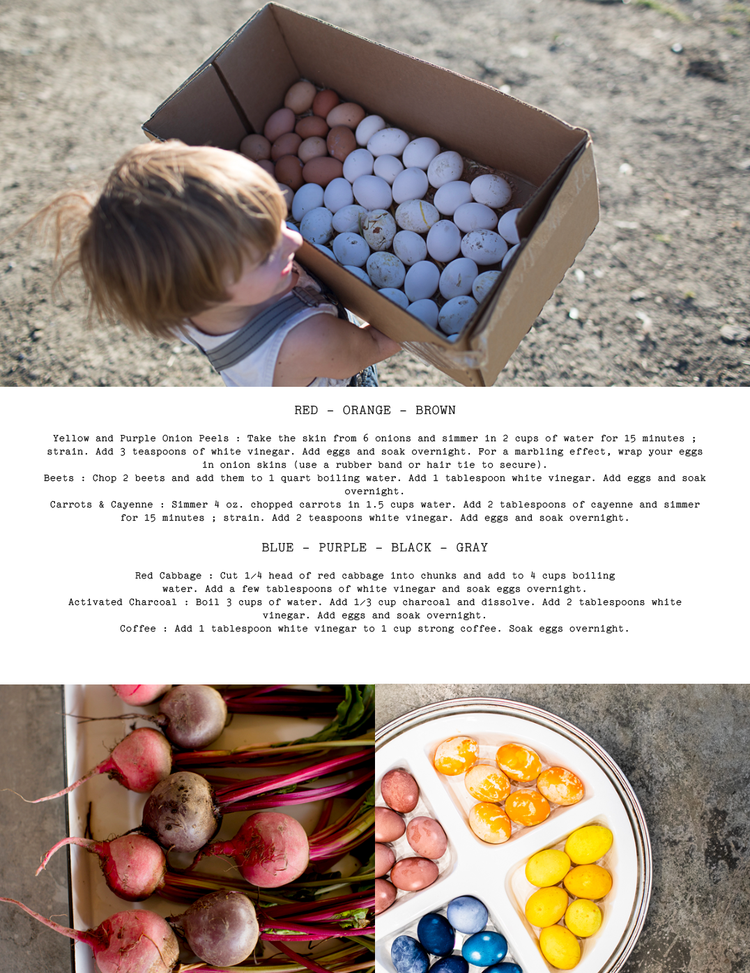 ISSUE 5 / Spring / Digital – The Hobbs Farm